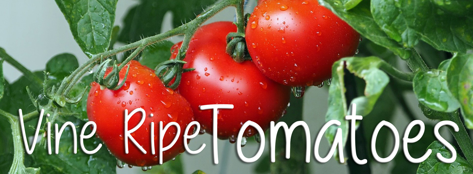 Look What’s Happening at the Farmers Market | Extension Marketing and ...